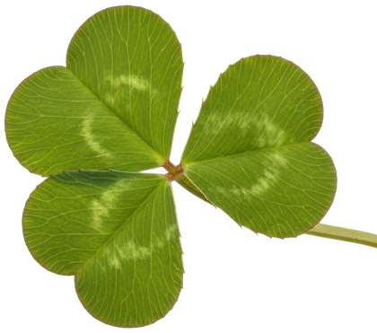 clovernote collective